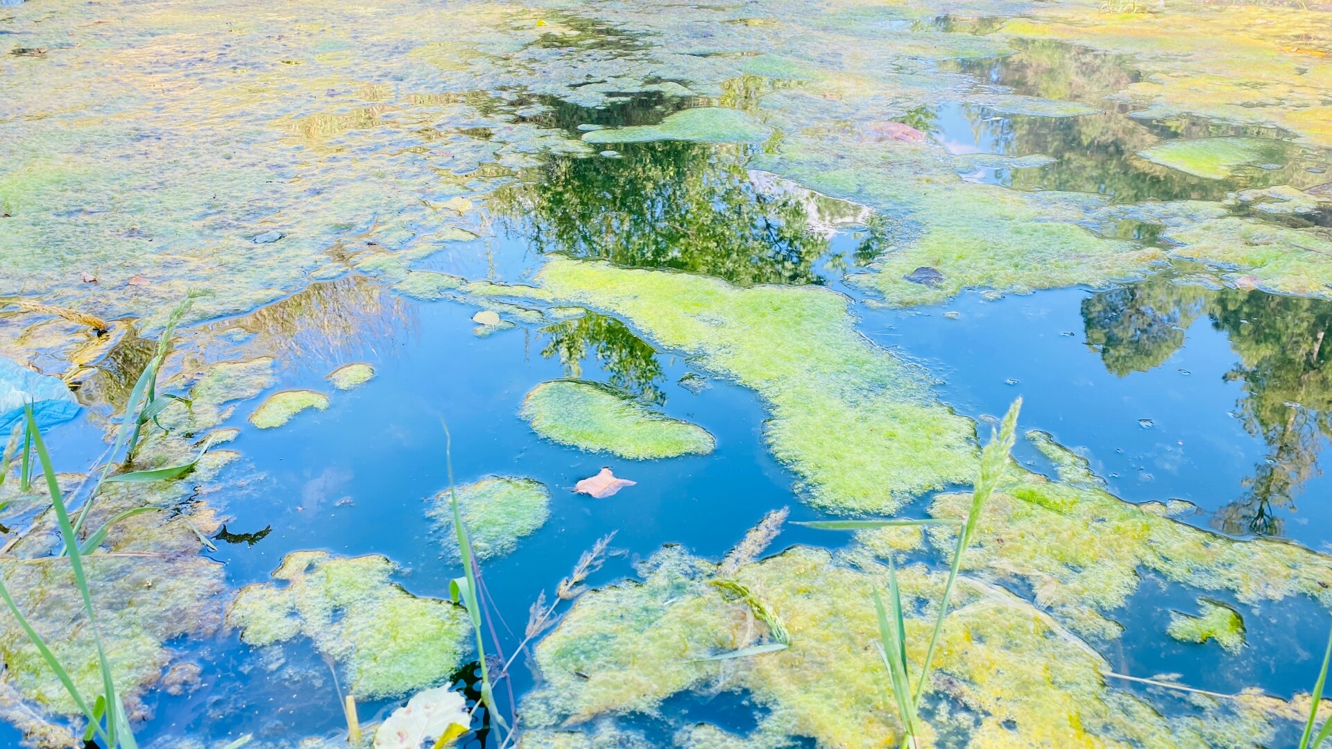 Enterprise News MENA