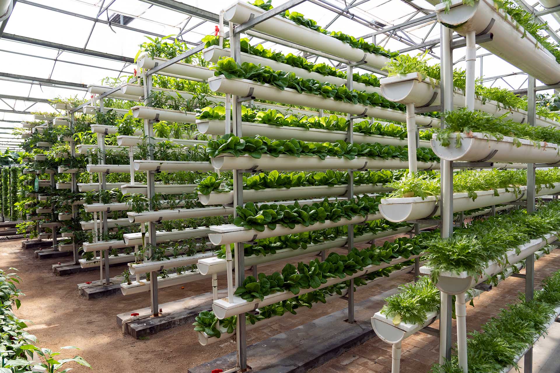 Hydroponic Farming Systems What Is Hydroponic Farming And How Does It